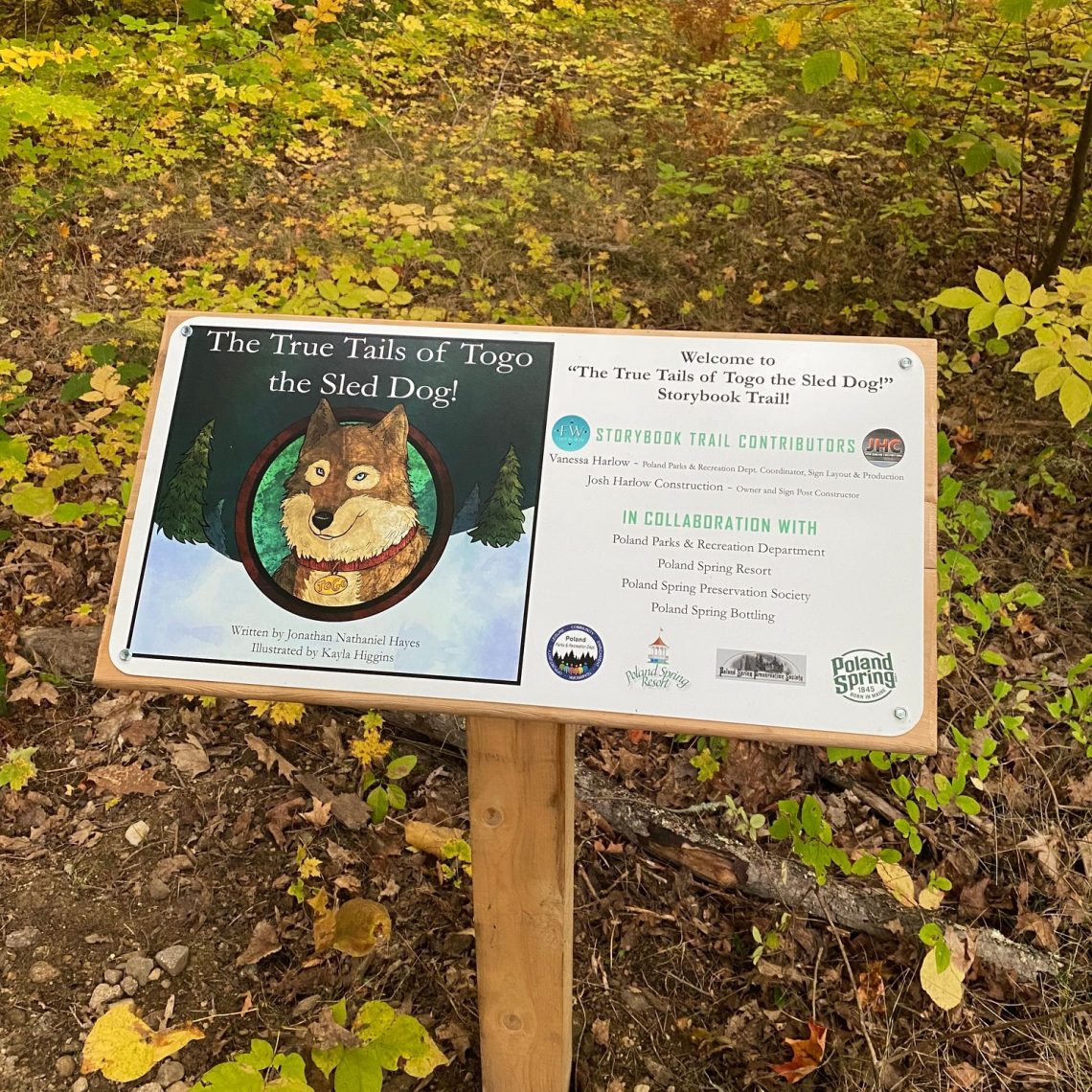 Togo the Sled Dog – Poland Spring Preservation Society